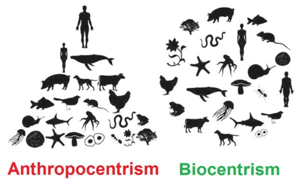 Biosentrisme, Memastikan Kelangsungan Ras Manusia - IBTimes.ID